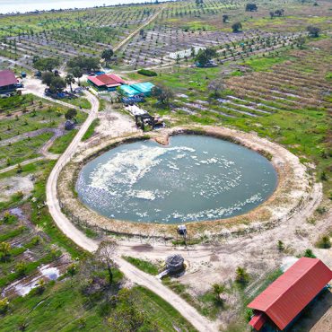 Export Agriculture in Sri Lanka | Sustainable Organic Farming Solutions